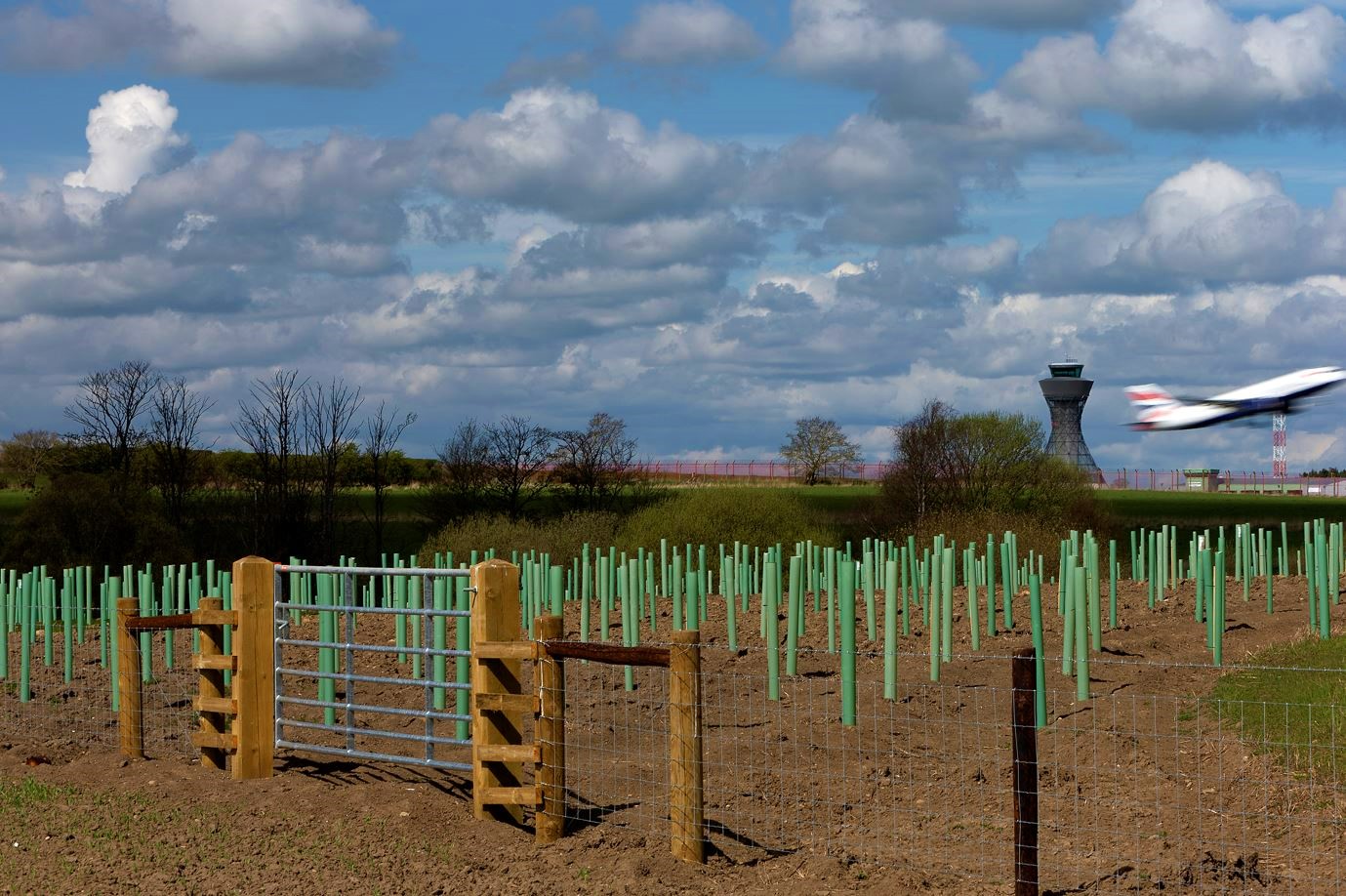 Newcastle International Airport plants over 8,300 trees to create new ...